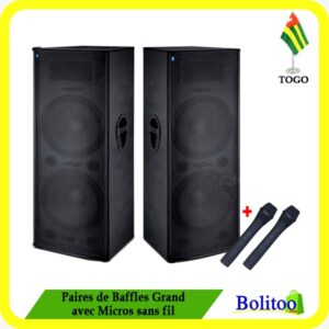 Paires de Baffles Grand avec Micro sans fil